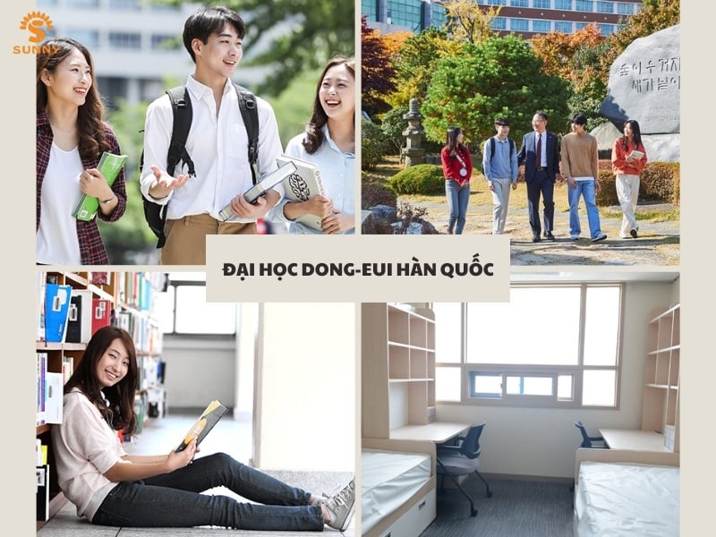 Đại học Dong EUI Hàn Quốc - Busan - Trung Tâm Du Học SUNNY
