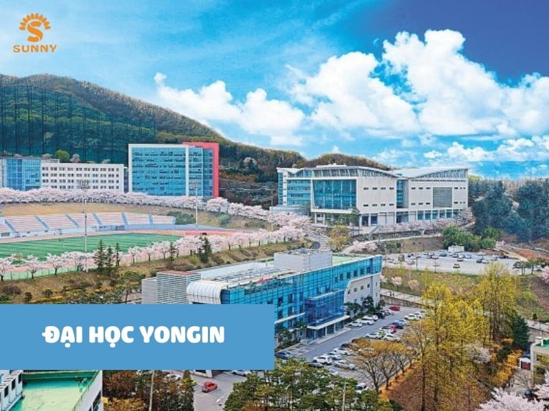 Đại học Yongin Hàn Quốc, điều kiện, chi phí, học bổng, KTX - Trung Tâm ...
